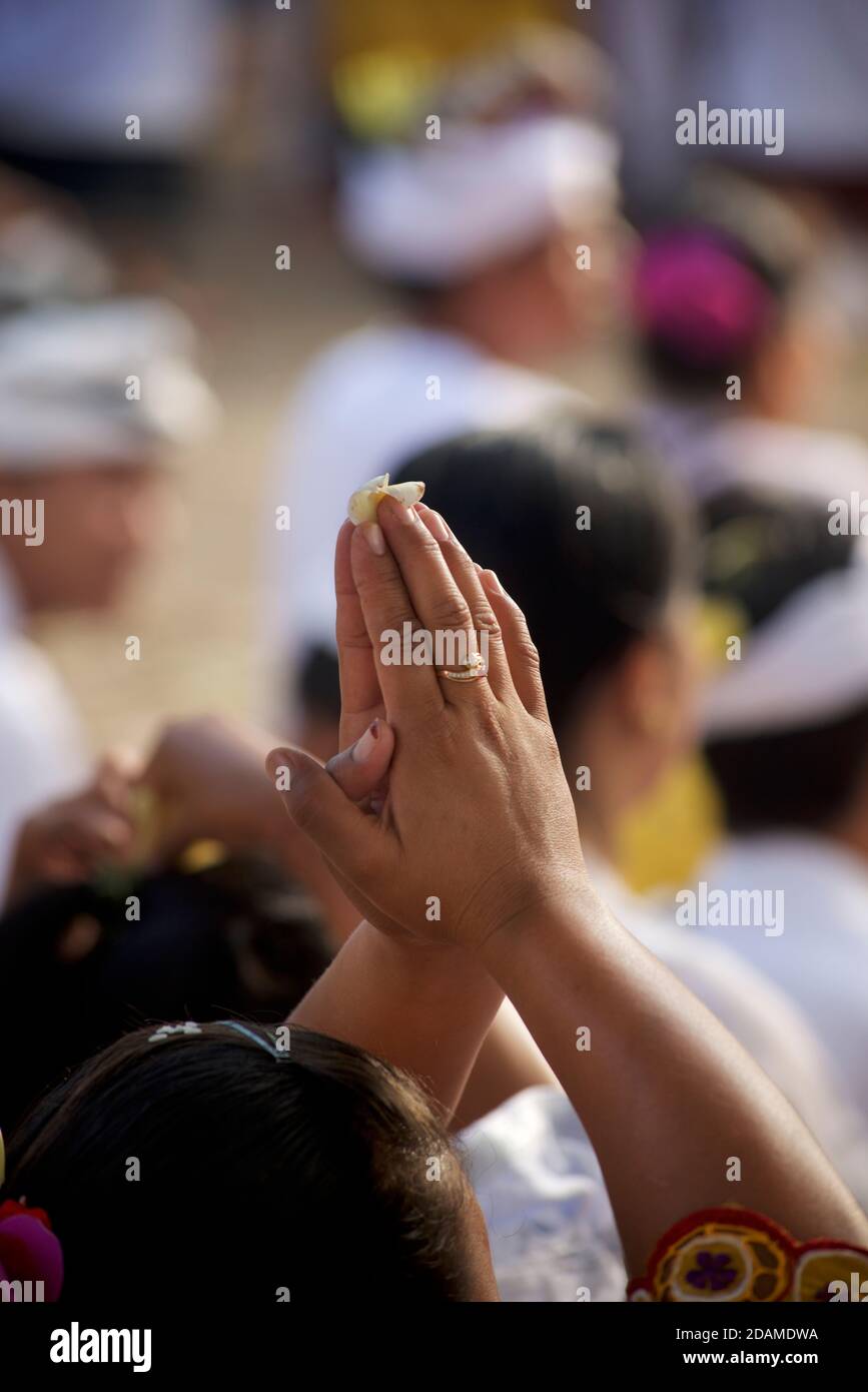 Hindu Praying Hands