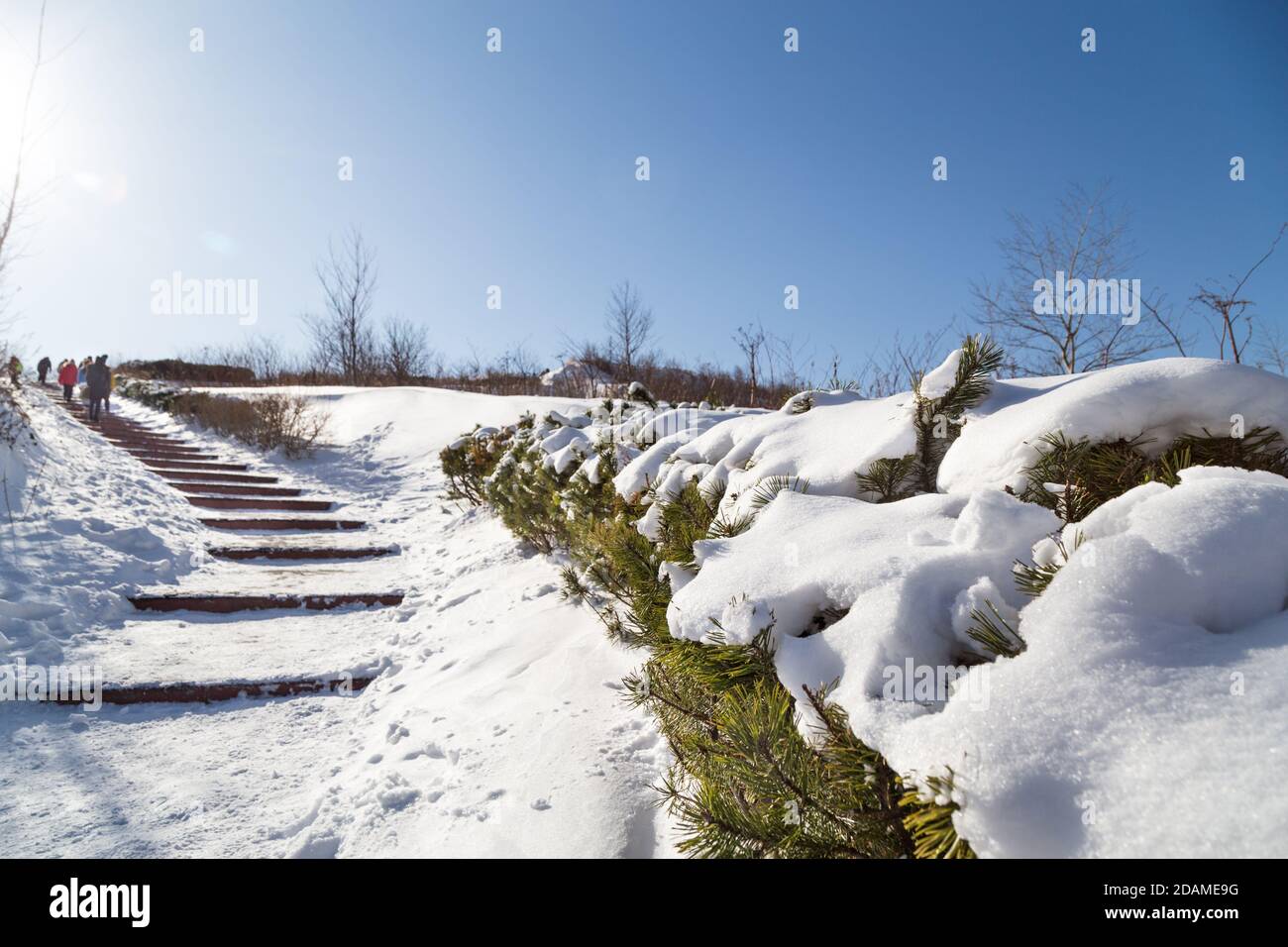 Usu mount hi-res stock photography and images - Alamy