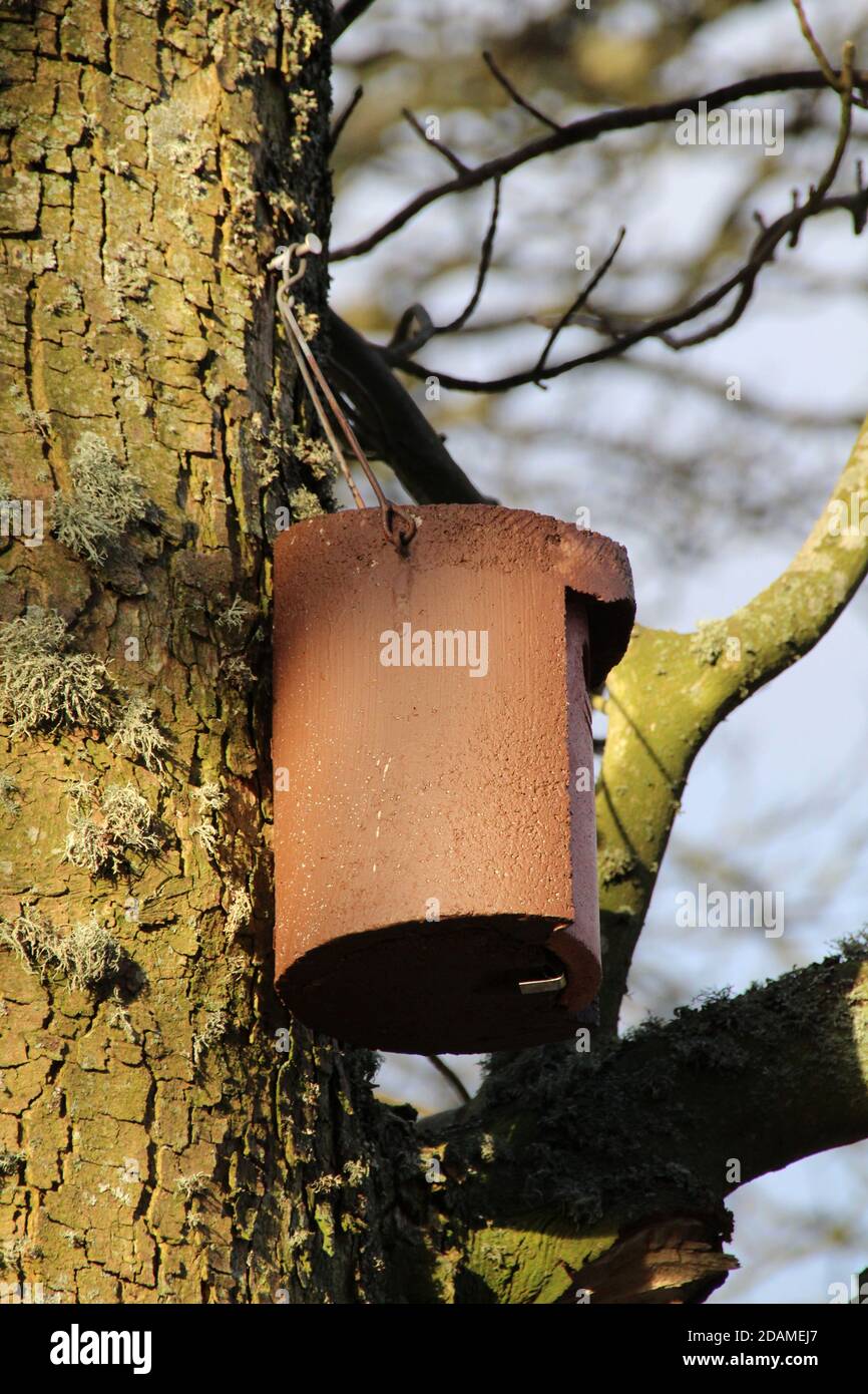 Schwegler bird box hi-res stock photography and images - Alamy