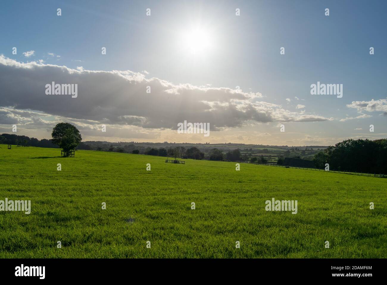 Beautiful landmark of a lush grass land in sunny day, farmers lifestyle ...