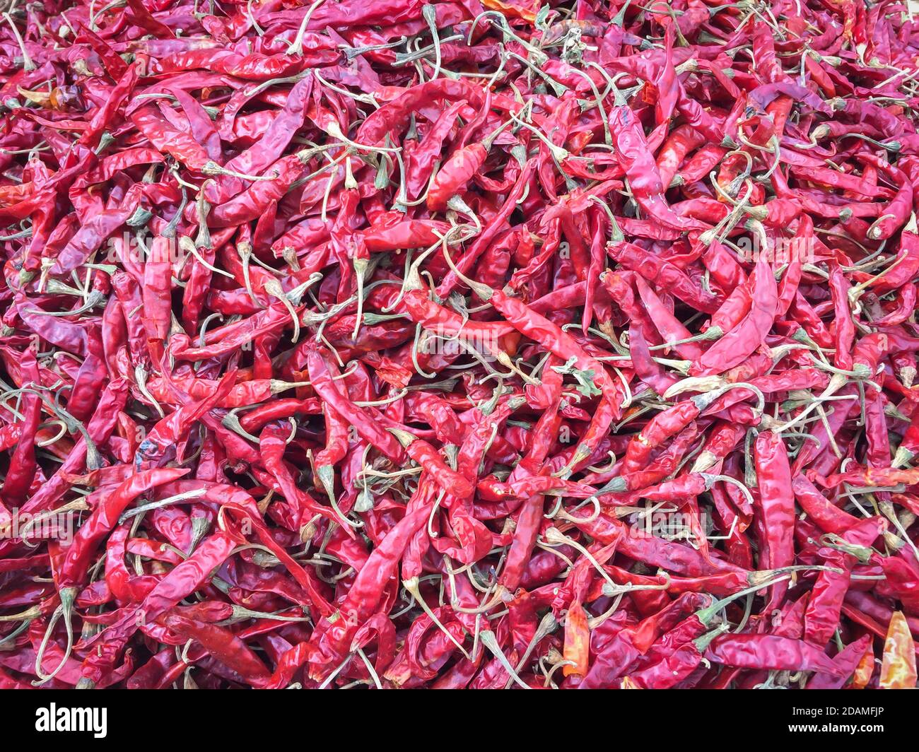 Dried red chilli, food ingredient Stock Photo - Alamy