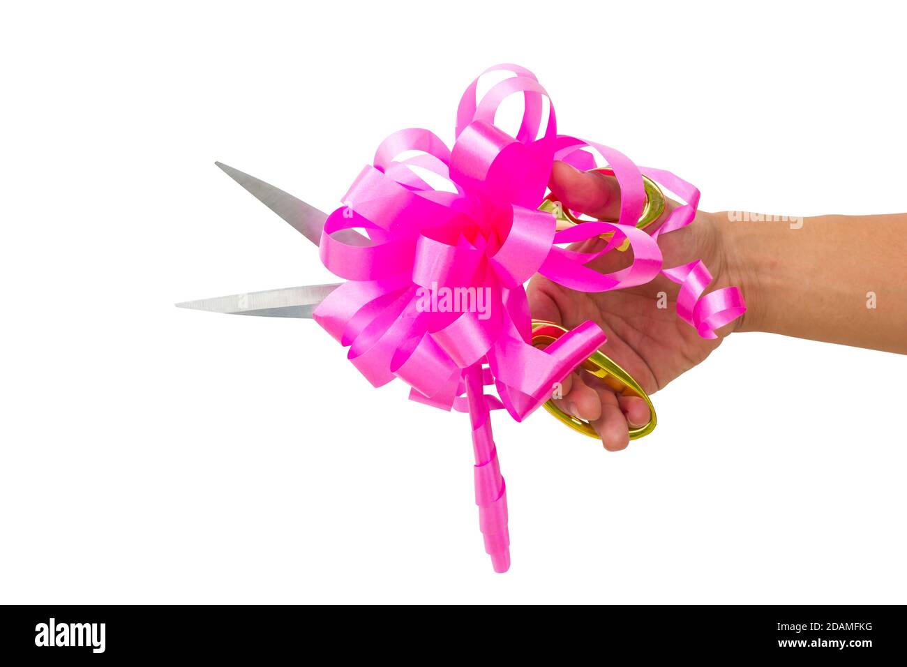 mans hand cutting something with scissors and pink bow isolated on ...