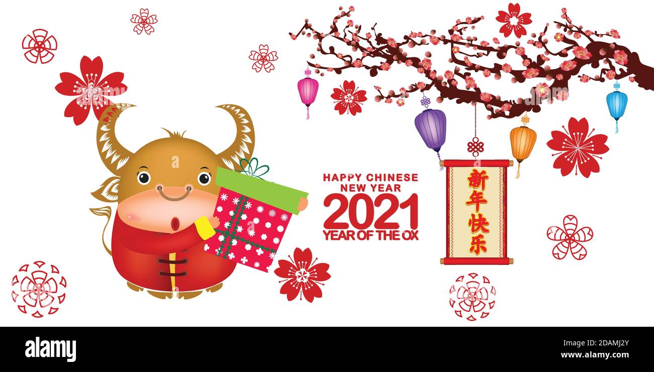 Happy Chinese new year 2021, little ox and chinese the year of the ox ...