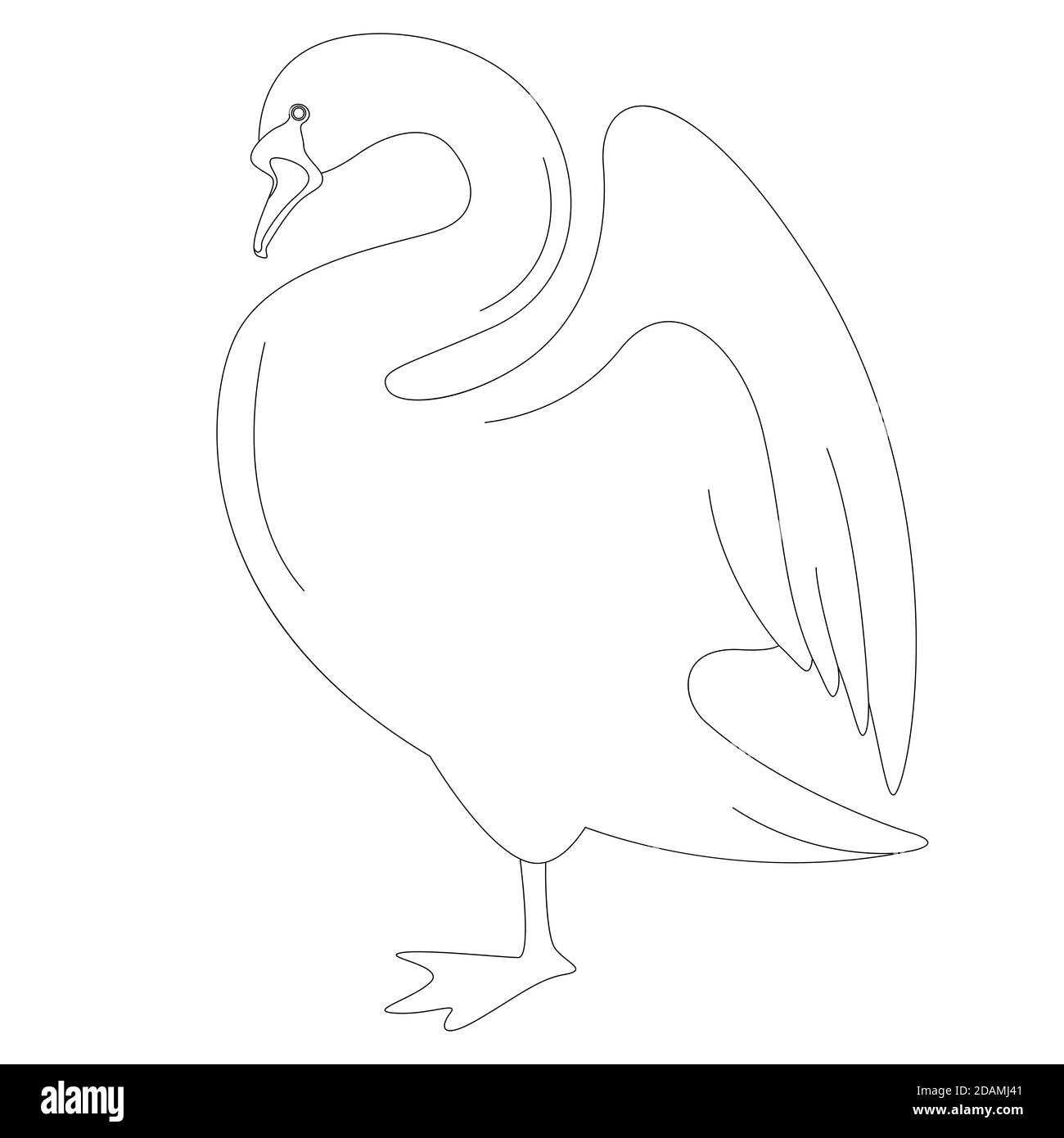 swan bird, vector illustration, lining draw , profile side Stock Photo ...