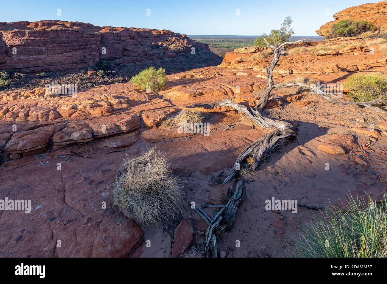 The remote dry landscape in Kings Canyon, Northern Territory, Australia ...