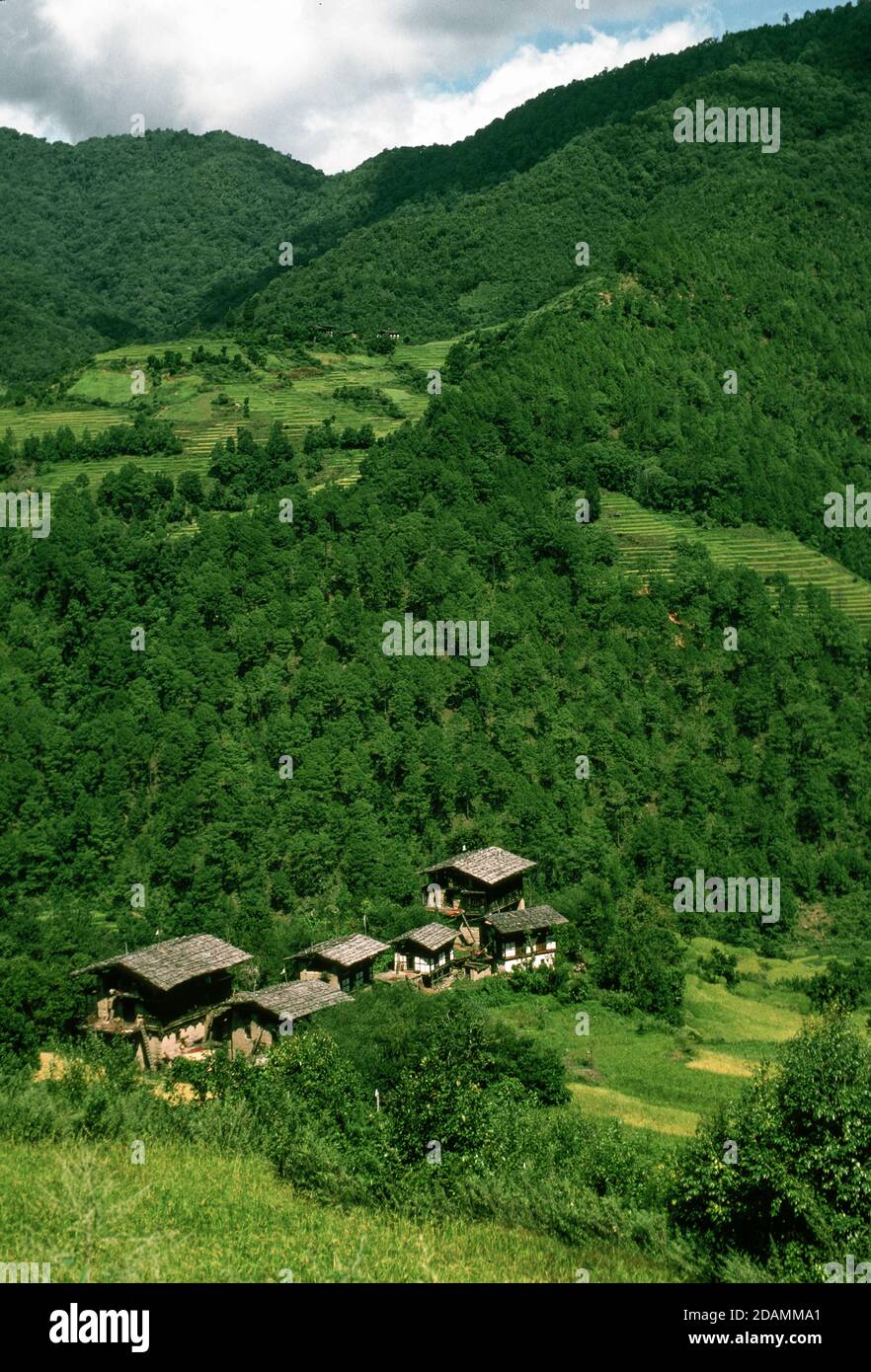 Farm buildings on a hillside terraced for rice padi crops, Punakha ...