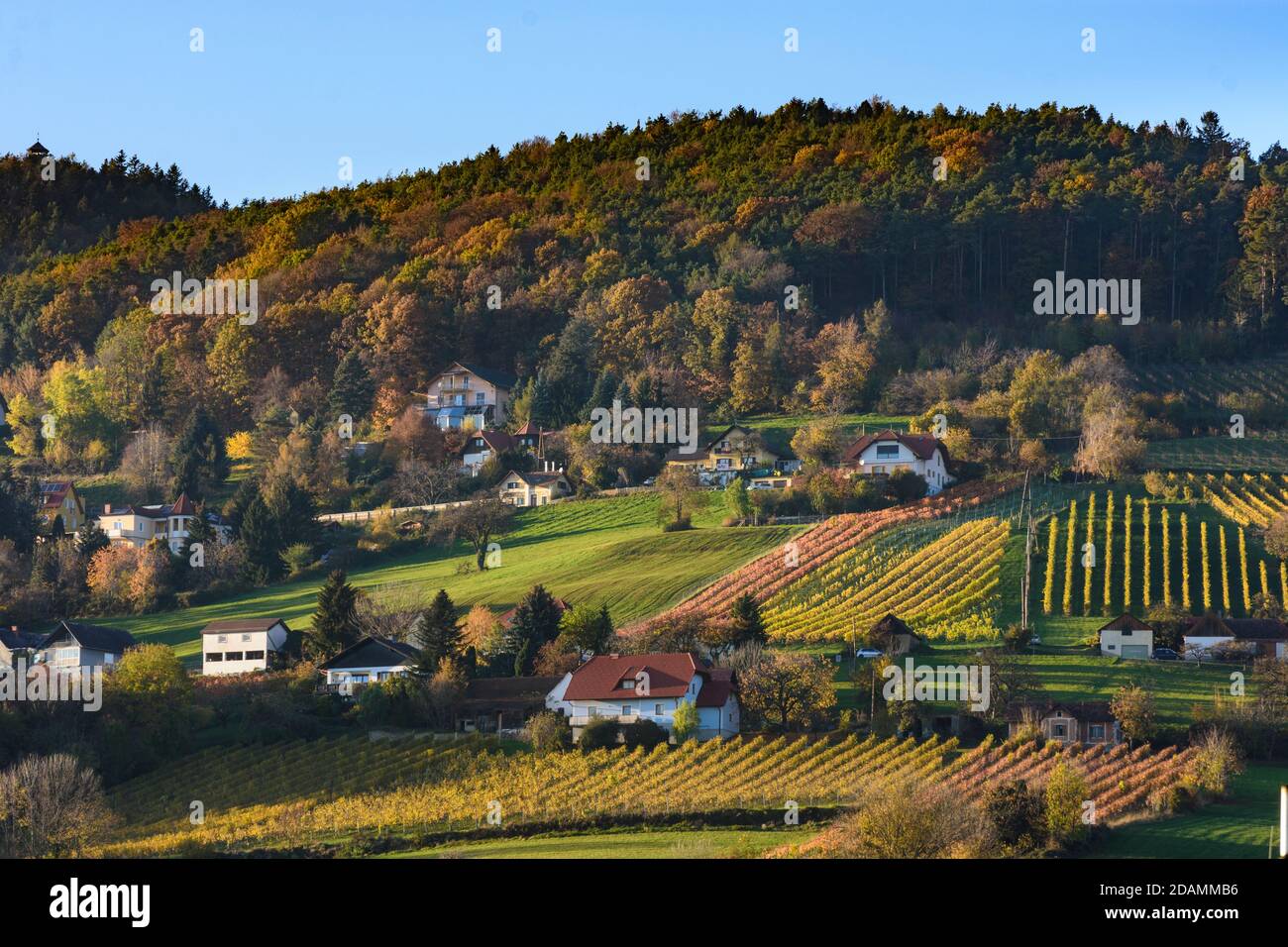 Hartberg: vineyard, houses, Steirisches Thermenland - Oststeiermark ...