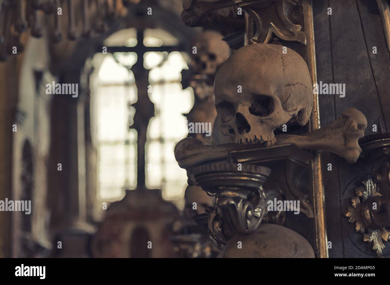 Human scull bones hi-res stock photography and images - Alamy