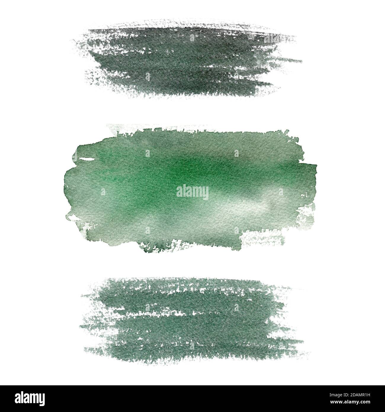 Green watercolor texture. Abstract brush strokes isolated on white ...
