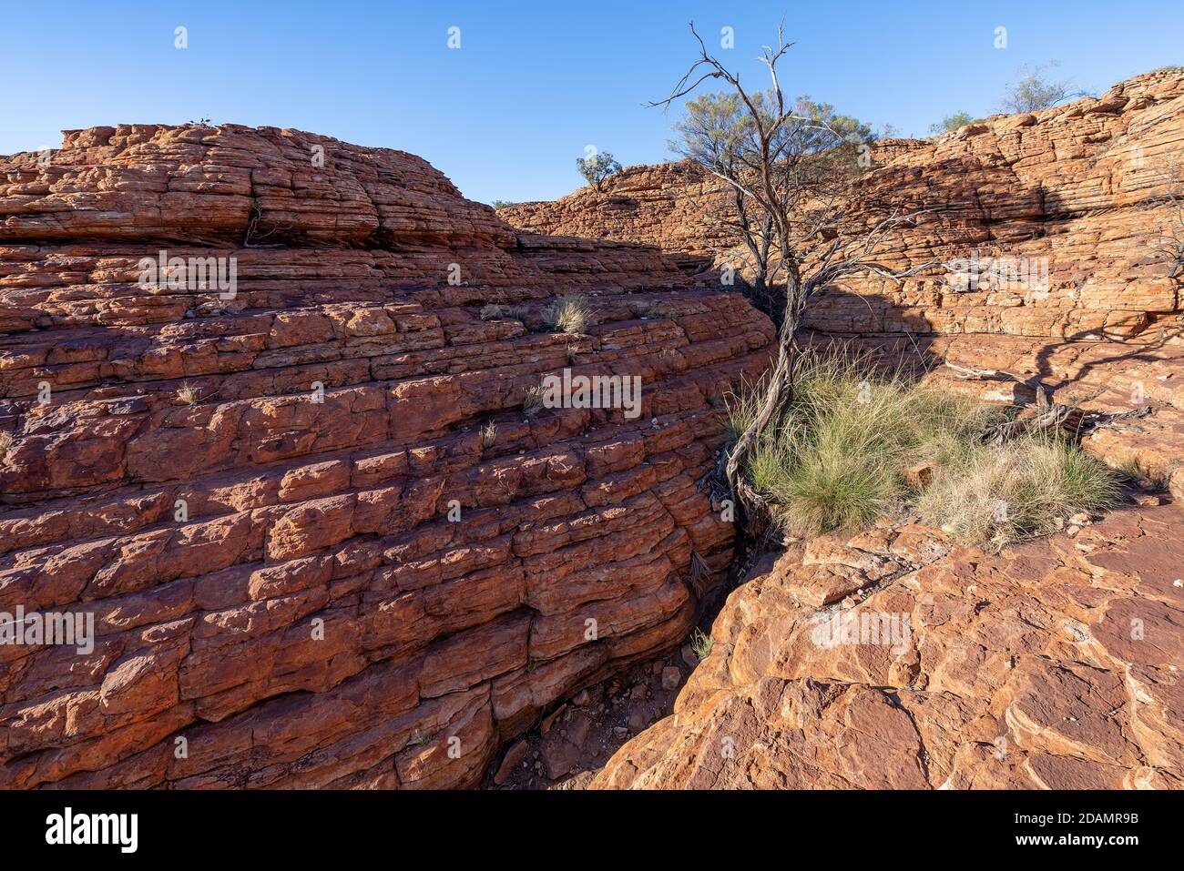 The remote dry landscape in Kings Canyon, Northern Territory, Australia ...