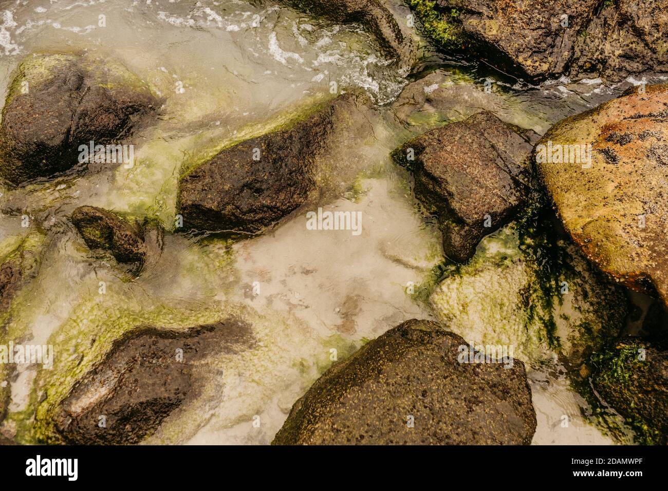 Top view shot of rocks with green moss in a shallow river bed Stock ...