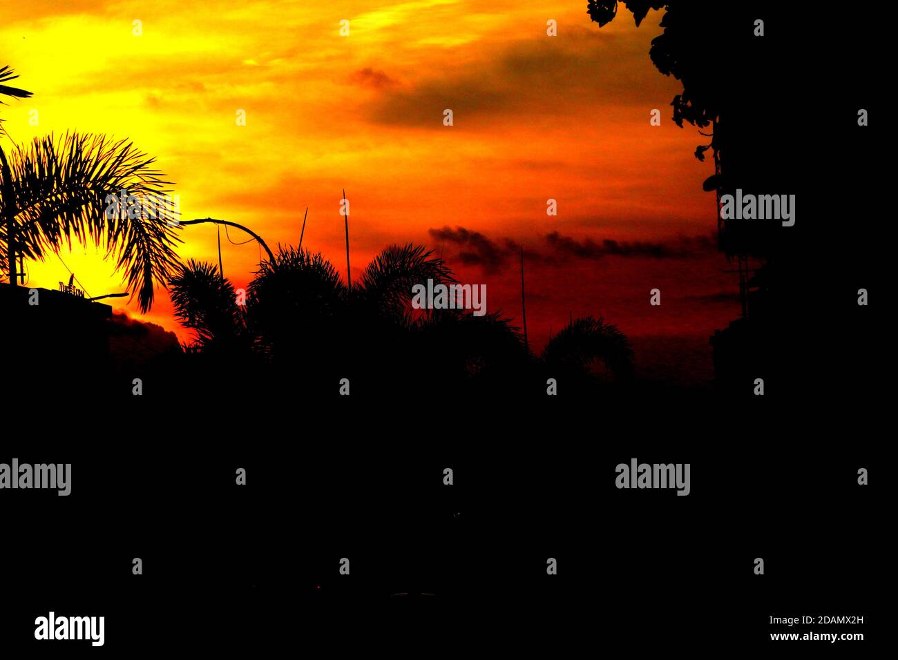 Westbengal hi-res stock photography and images - Alamy