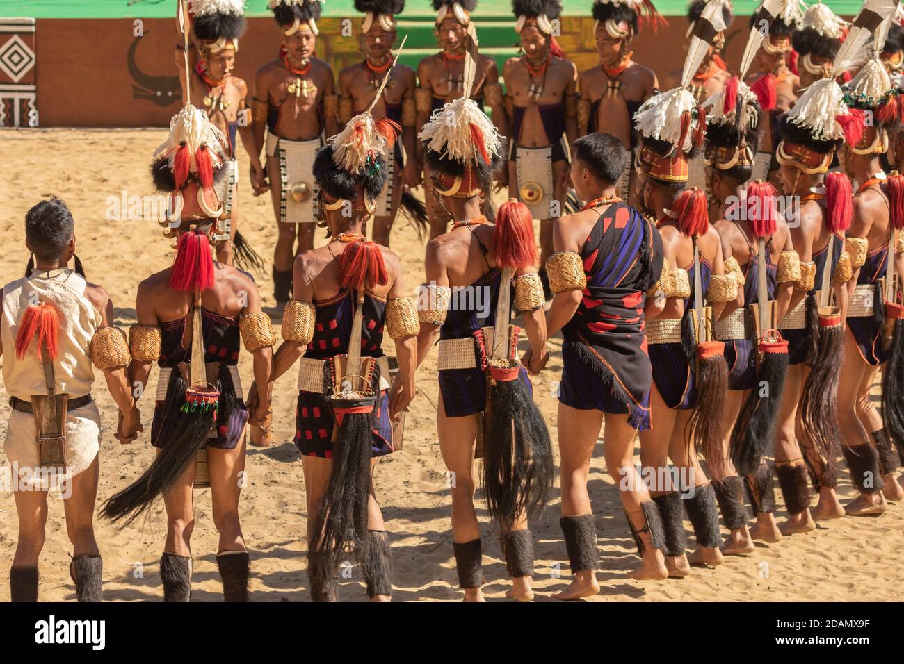 A group of naga tribesmen dressed in their traditional attire dancing ...