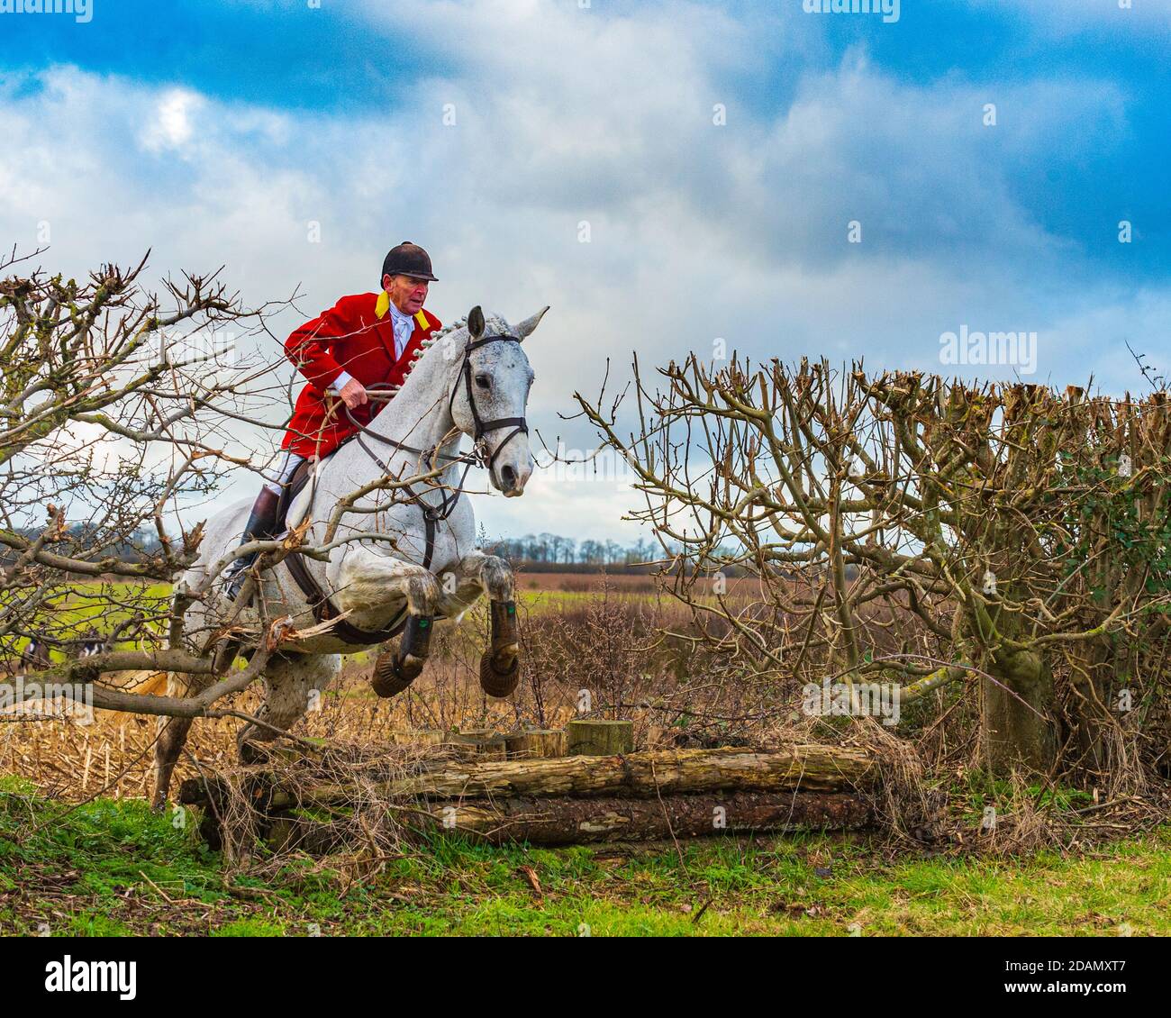 Whipper in hi-res stock photography and images - Alamy