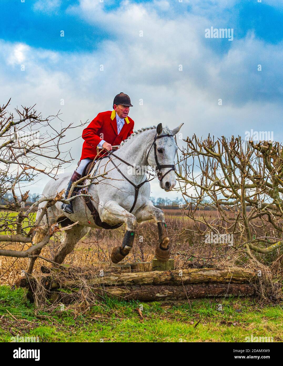 Man horse jumping countryside hi-res stock photography and images - Alamy