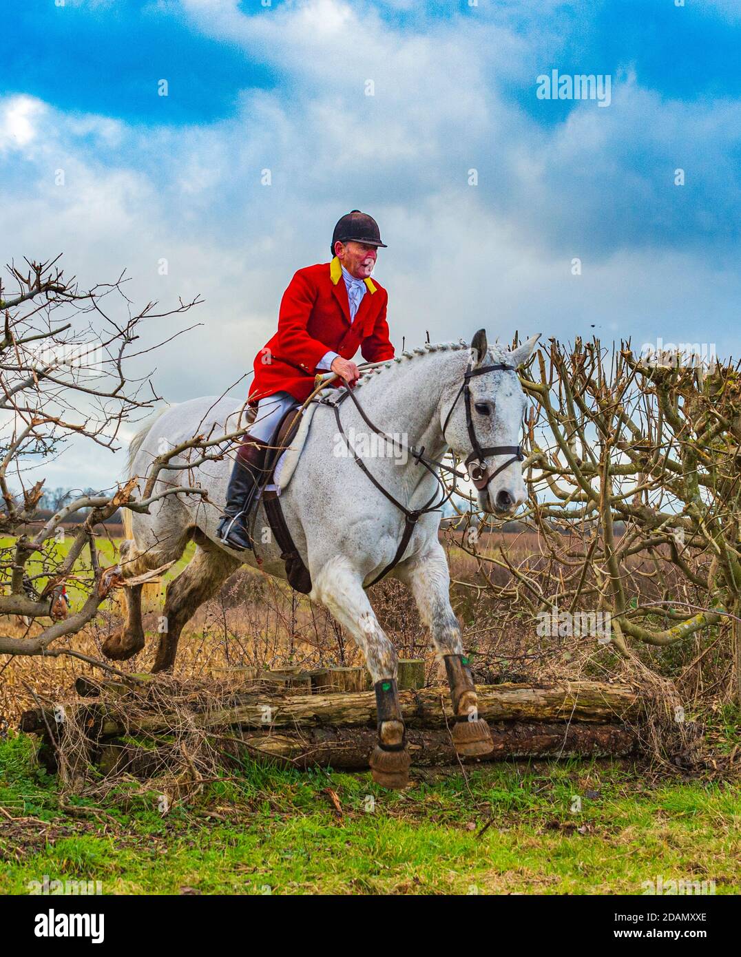 Whipper in hi-res stock photography and images - Alamy