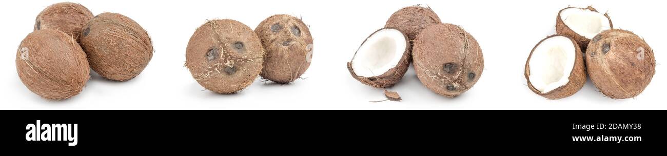 Collection of coconut isolated on a white background Stock Photo - Alamy