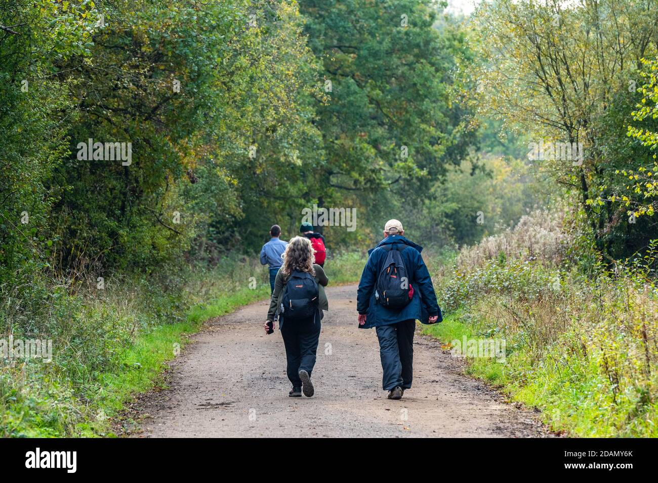 A middle aged couple walking together along a path in the forest ...
