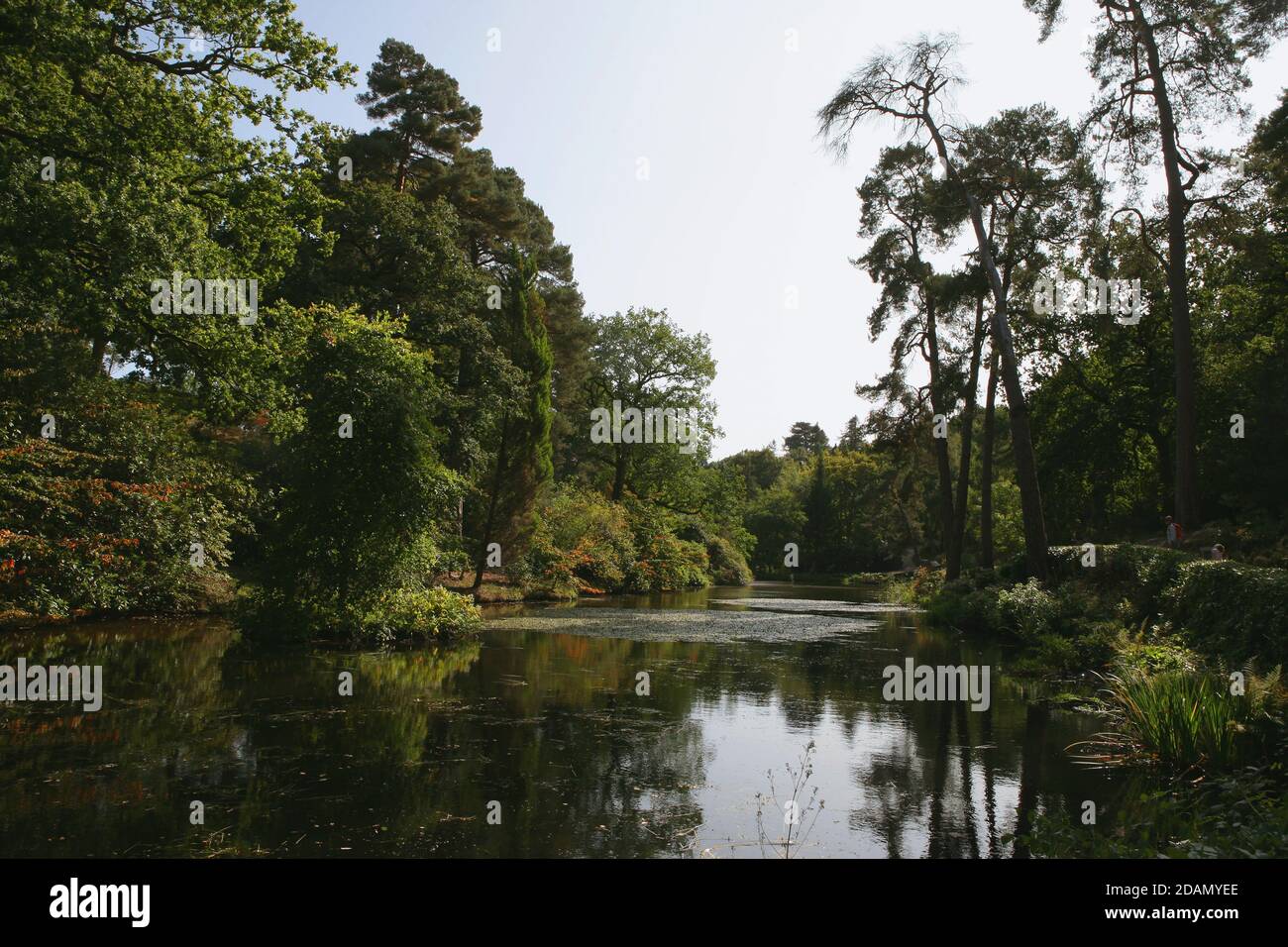 The Waterfall Pond at Leonardslee Gardens, West Sussex, England, UK ...