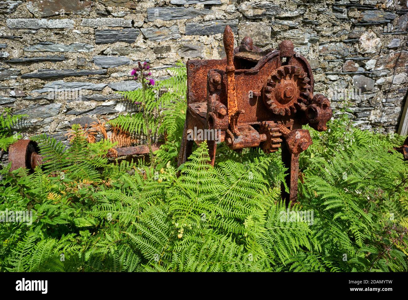 Rusty old farm machinery at the Observatory on the Calf of Man Stock ...