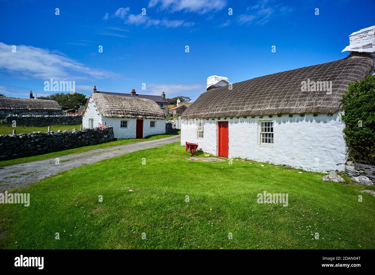 Cregneash the living museum village with traditional thatching on ...