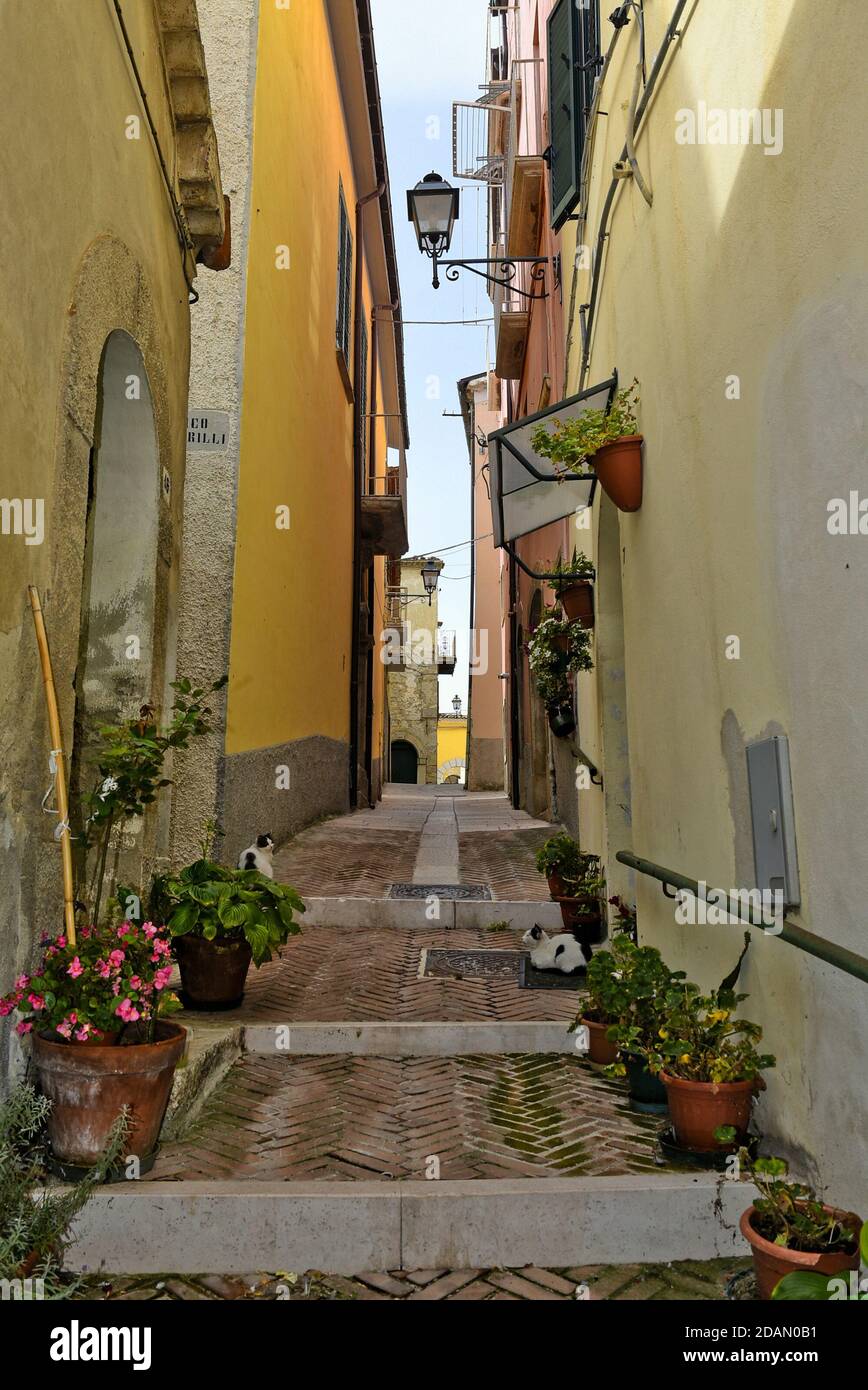 A narrow street among the old houses of Mirabello Sannitico, a medieval ...