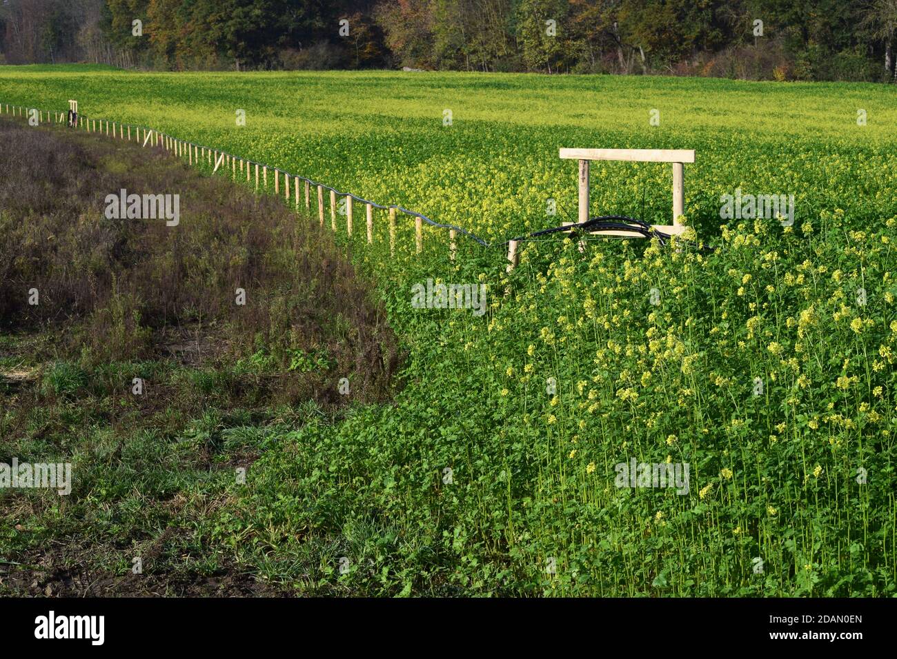 Underground cable hi-res stock photography and images - Alamy