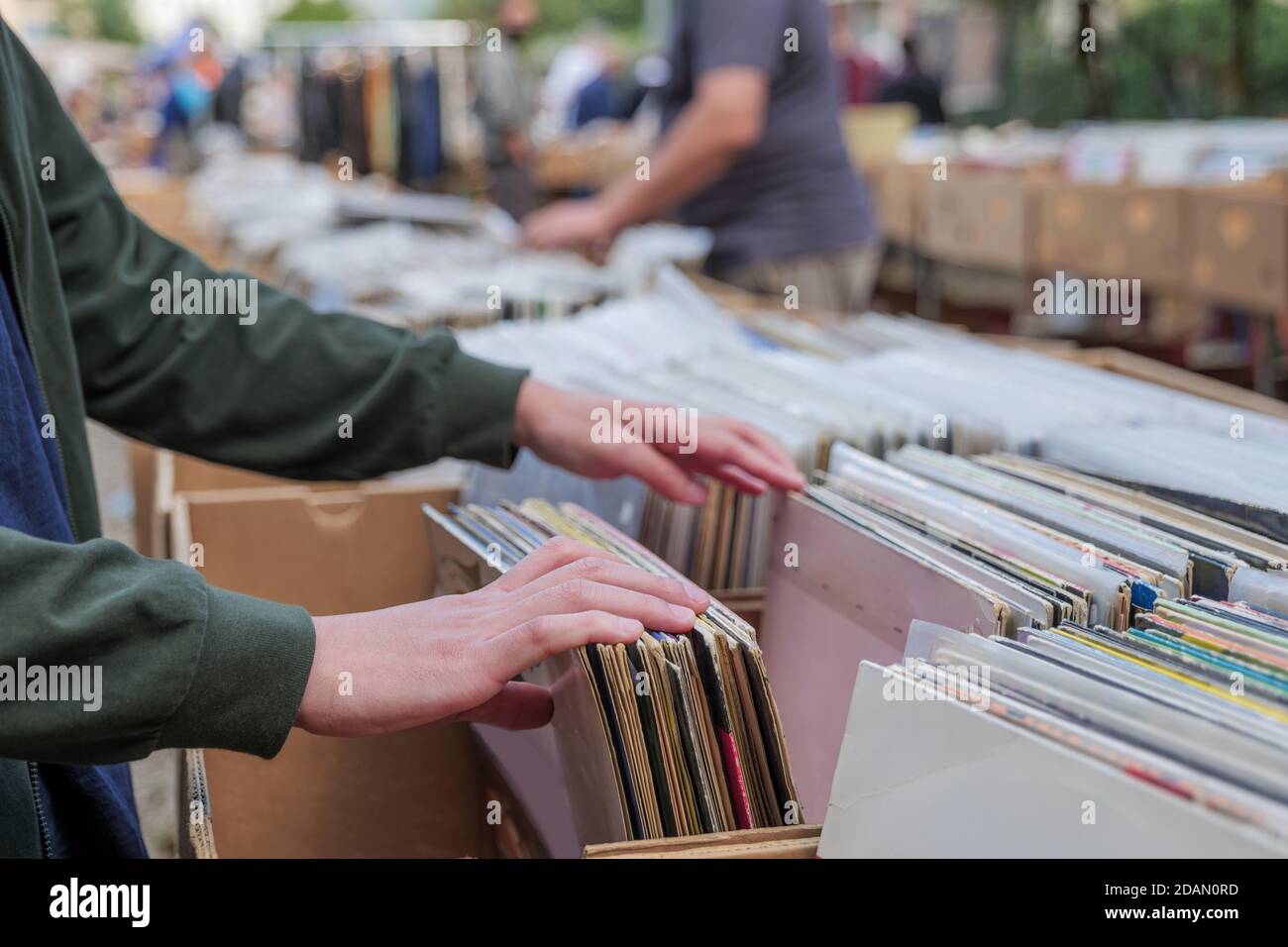 Picking flee hi-res stock photography and images - Alamy