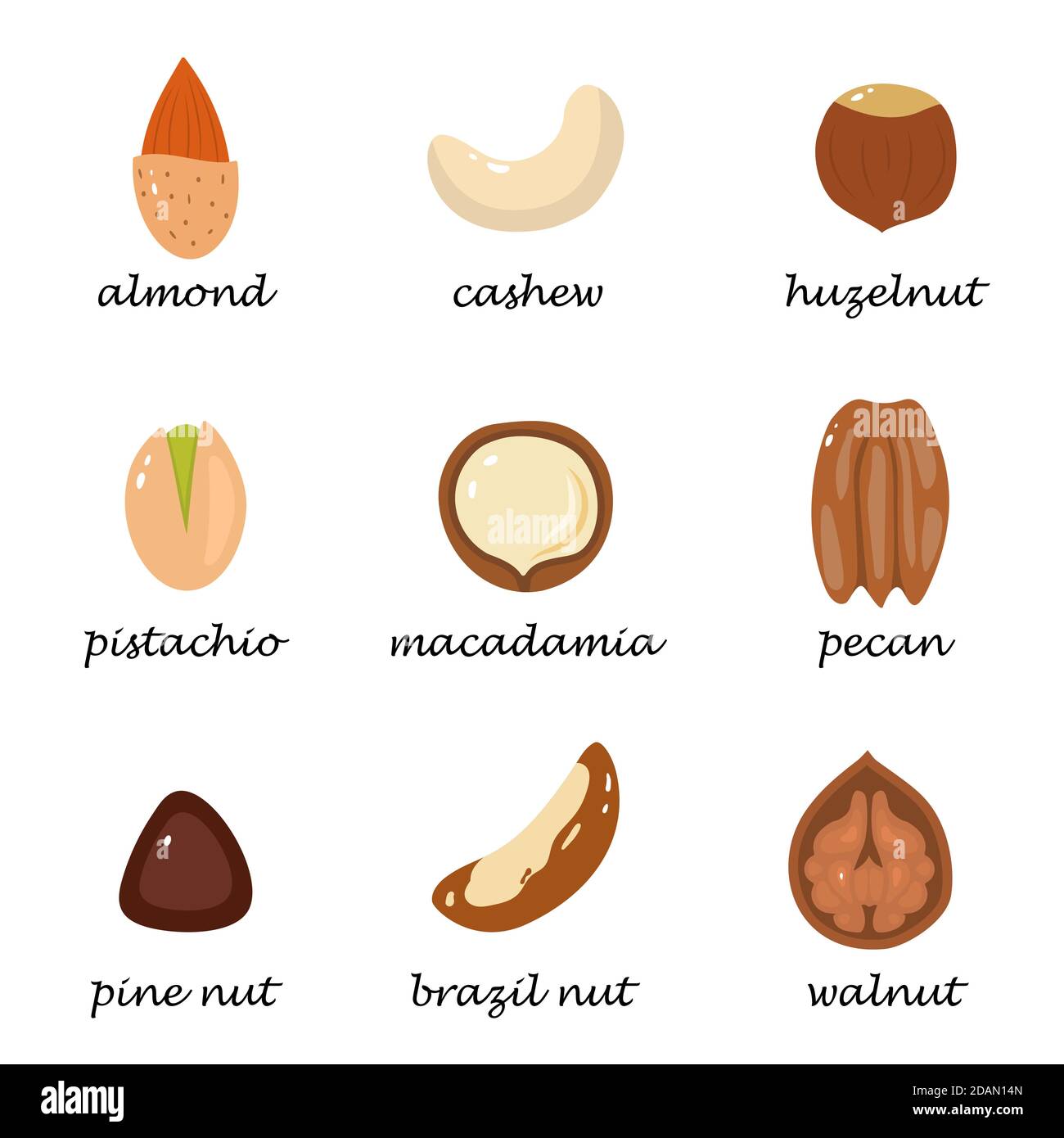 Set of isolated nuts on white background in cartoon style Stock Vector ...
