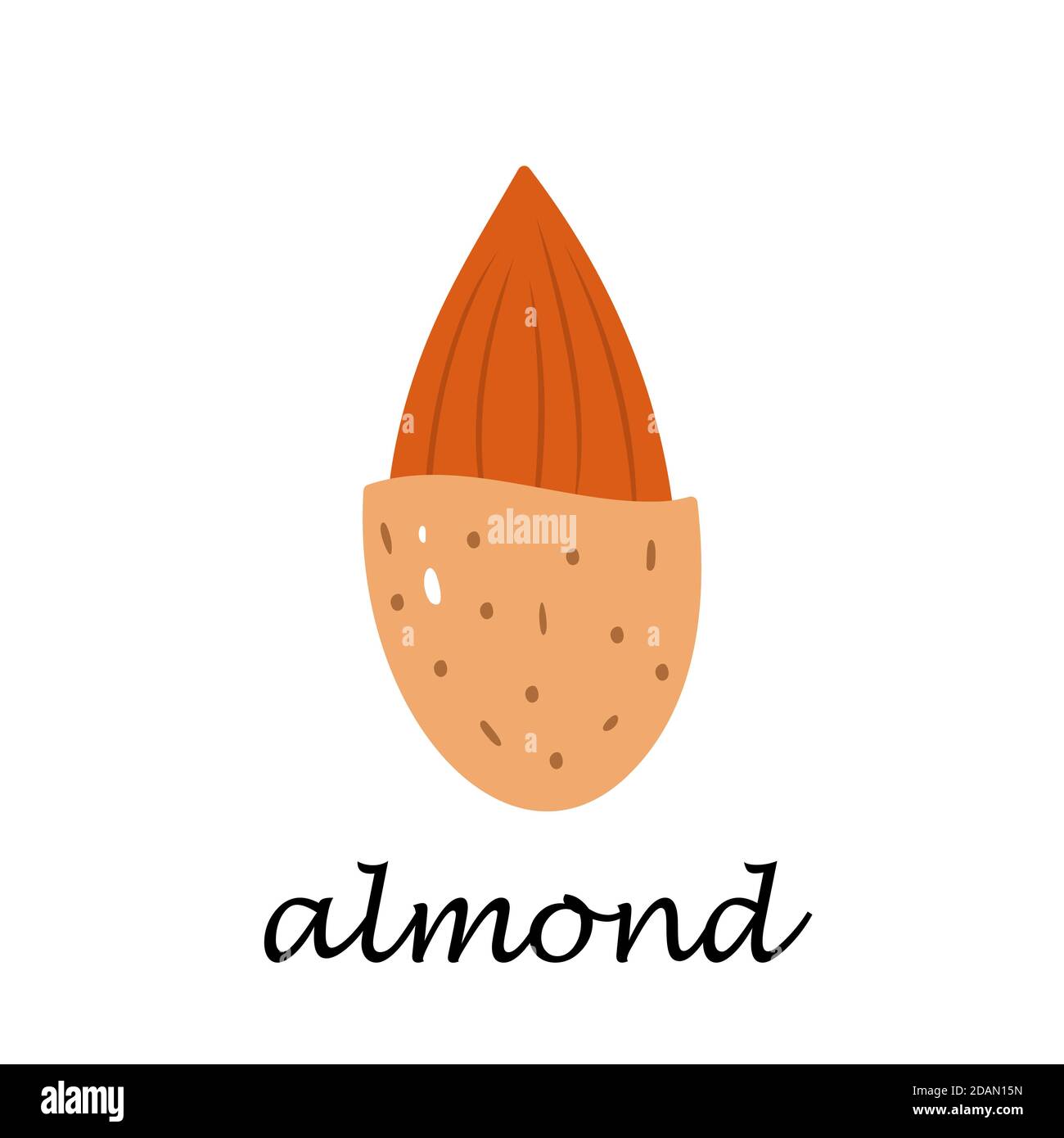 Almond on white background in cartoon style Stock Vector Image & Art ...
