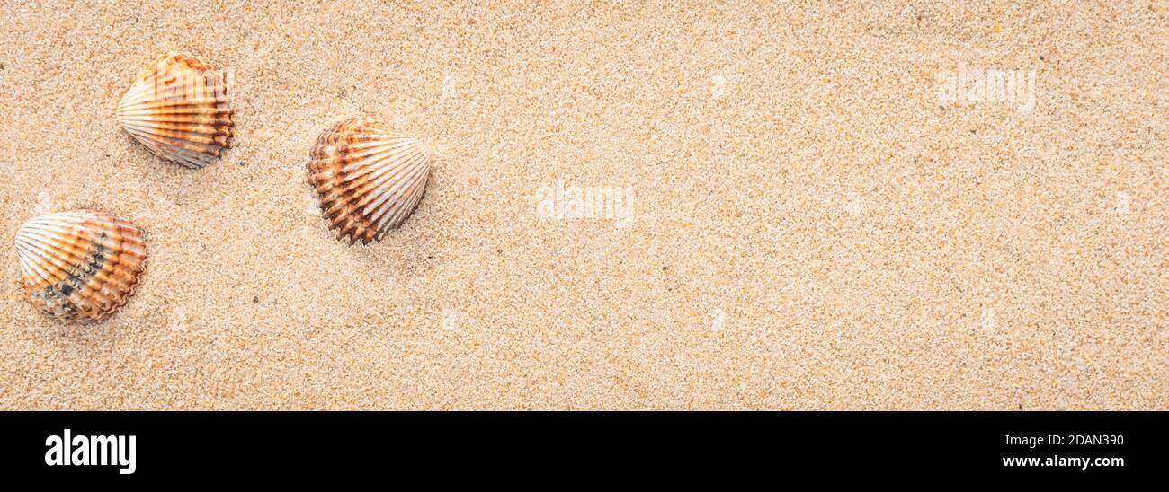 Background grains of sea sand, fine beach sand Stock Photo - Alamy