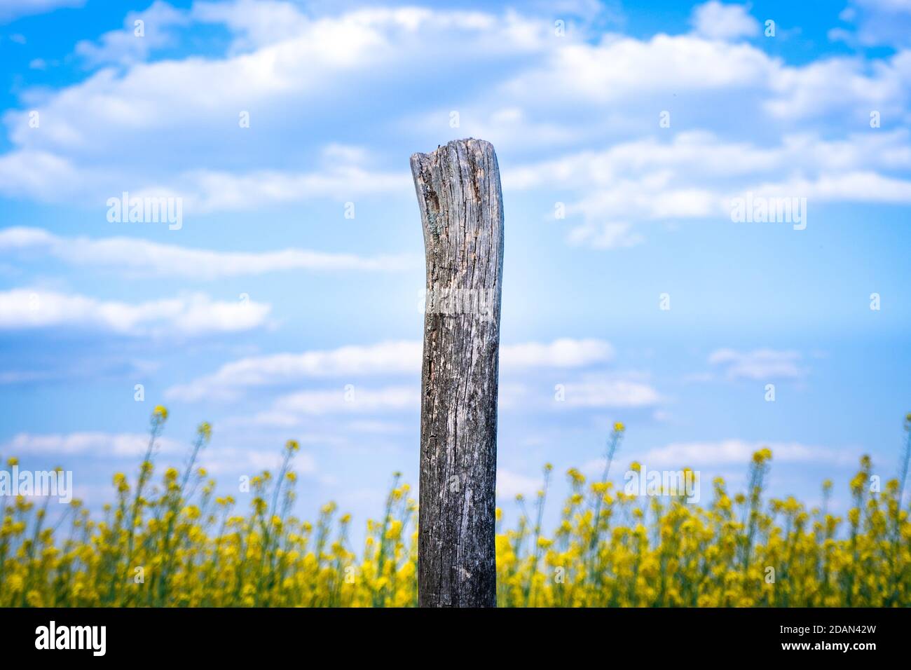 Pole toss hi-res stock photography and images - Alamy