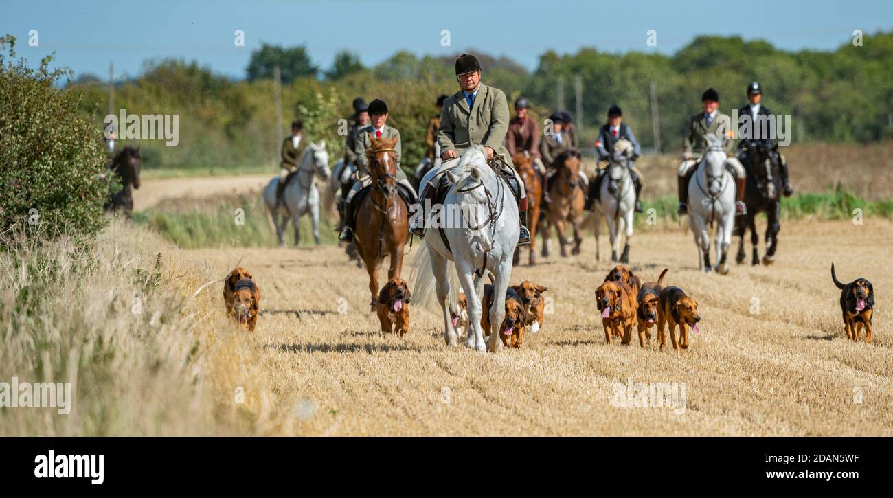 Huntsman and hounds hi-res stock photography and images - Alamy