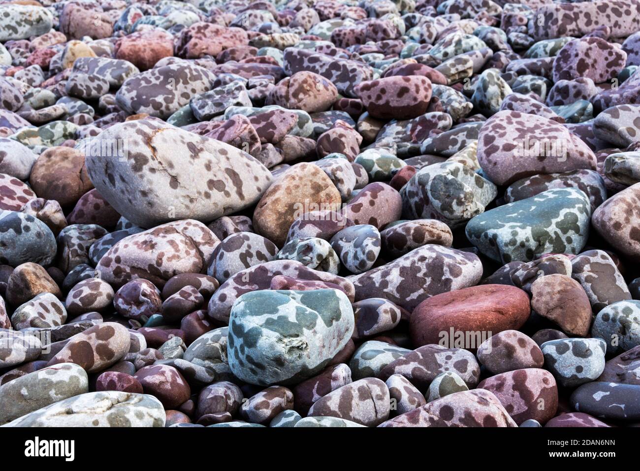 Grey Shingle Dunes High Resolution Stock Photography and Images - Alamy
