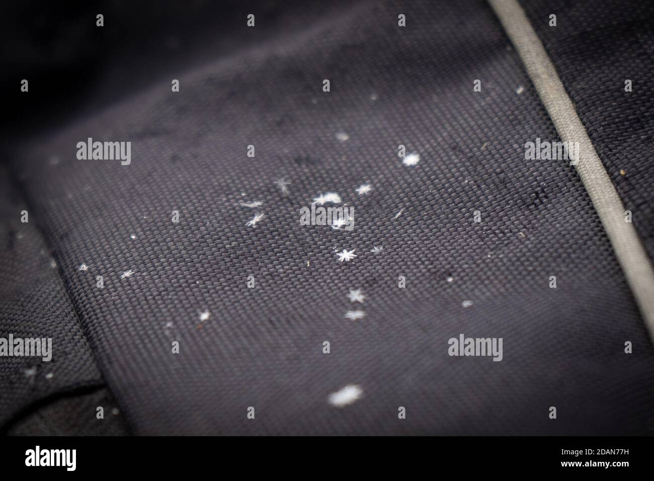 snow flakes laying on fabric Stock Photo - Alamy