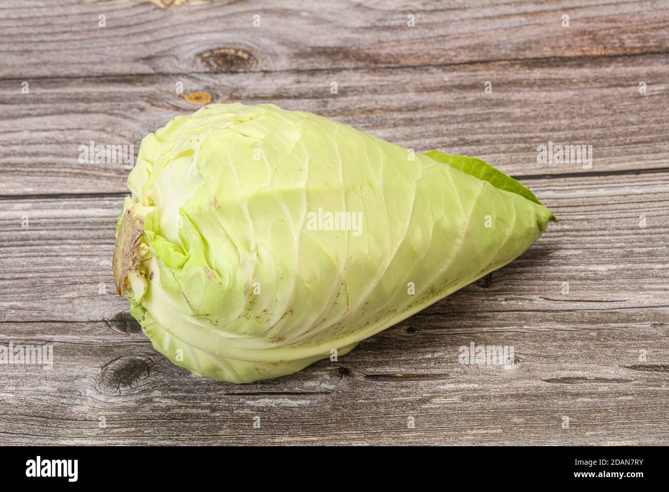 Cone cabbage for dietary and vegan cuisine Stock Photo - Alamy