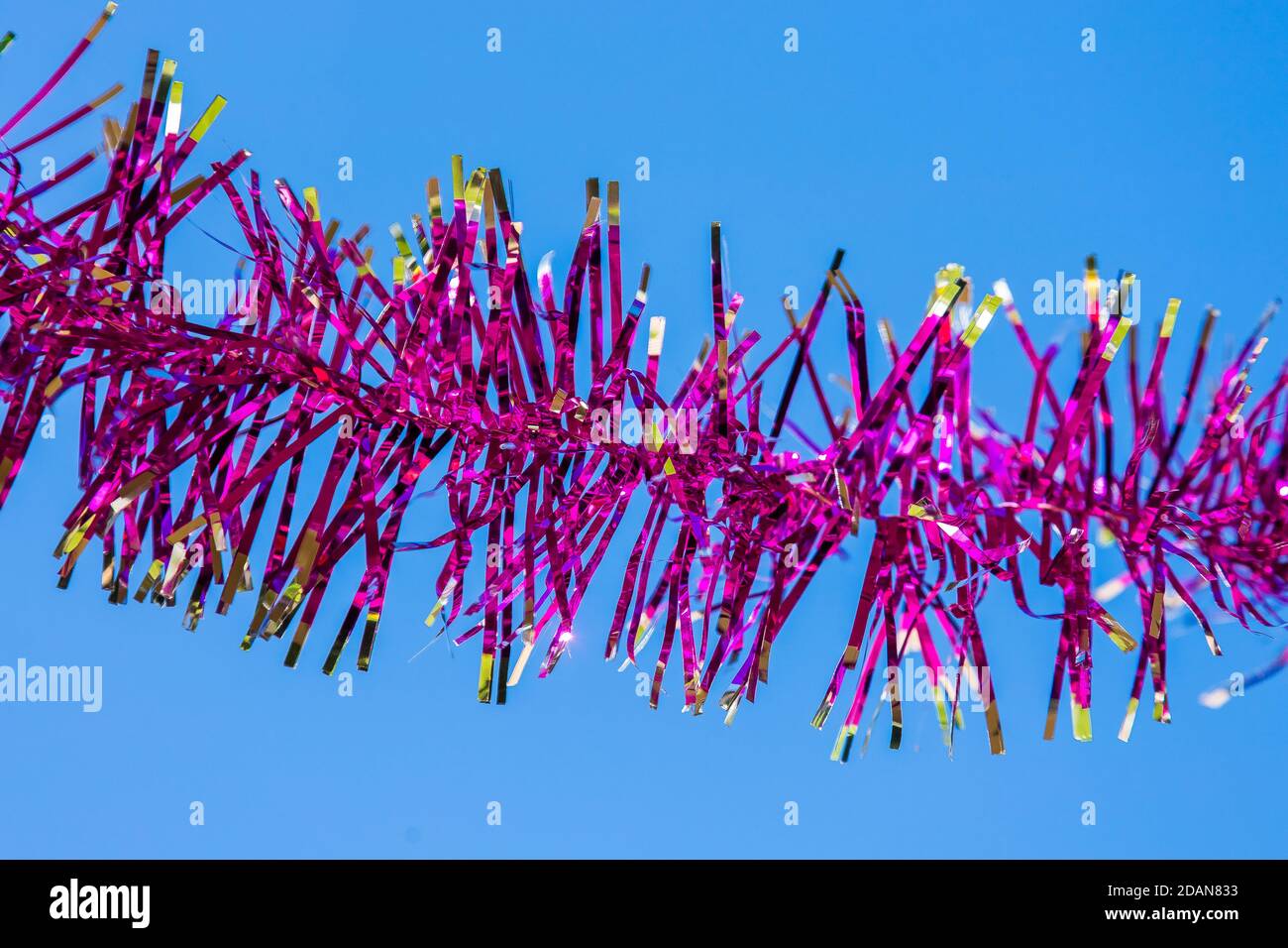 Closeup shot of a purple tinsel on a blue background Stock Photo - Alamy