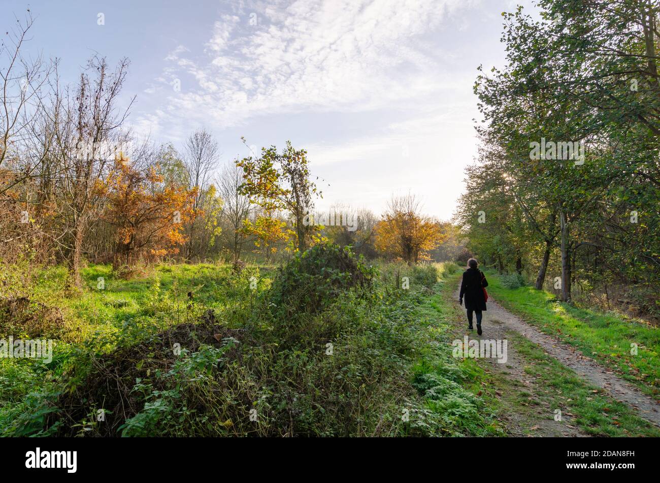an autumn walk in the countryside in golden light Stock Photo - Alamy