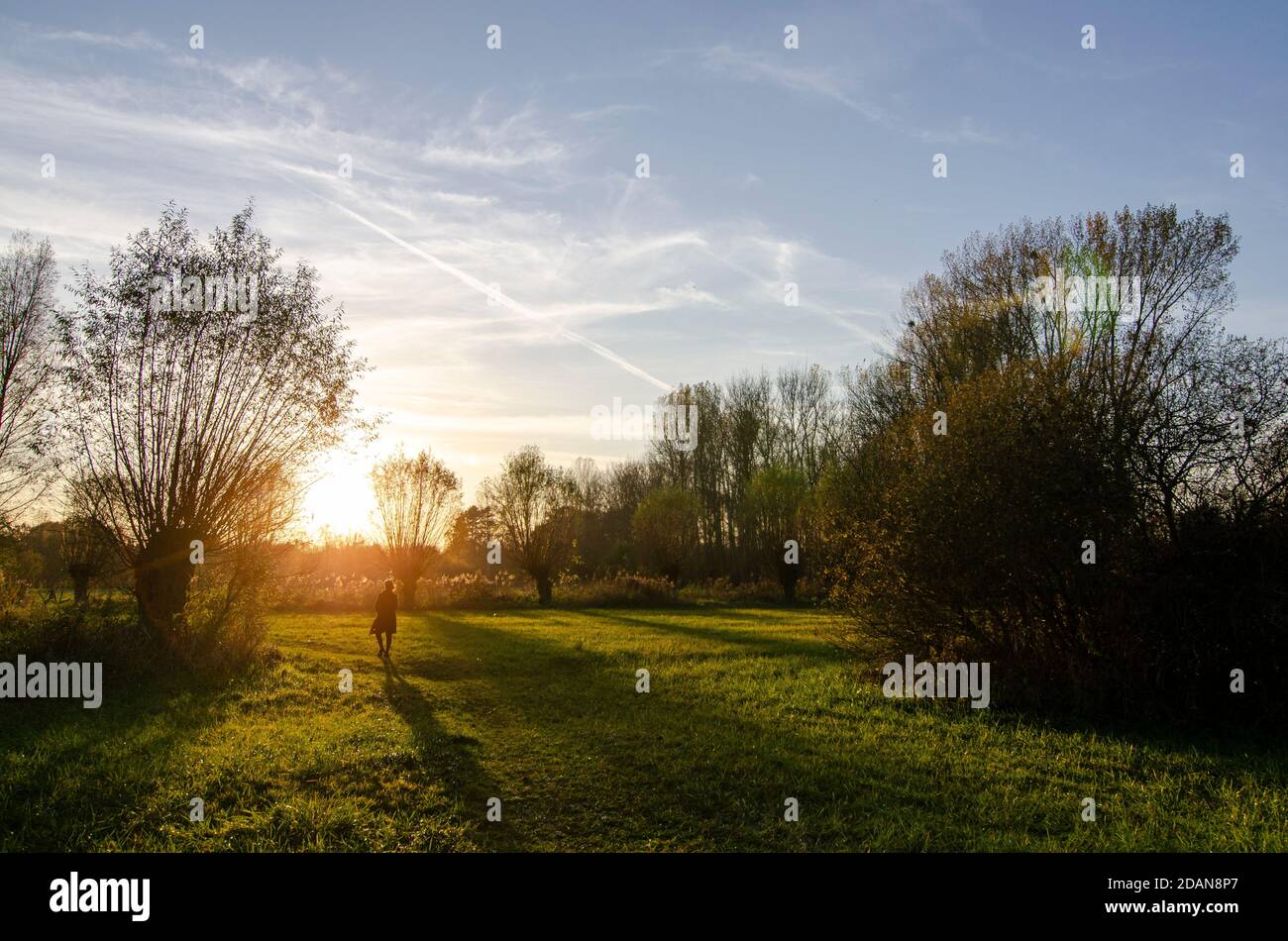 an autumn walk in the countryside in golden light Stock Photo - Alamy