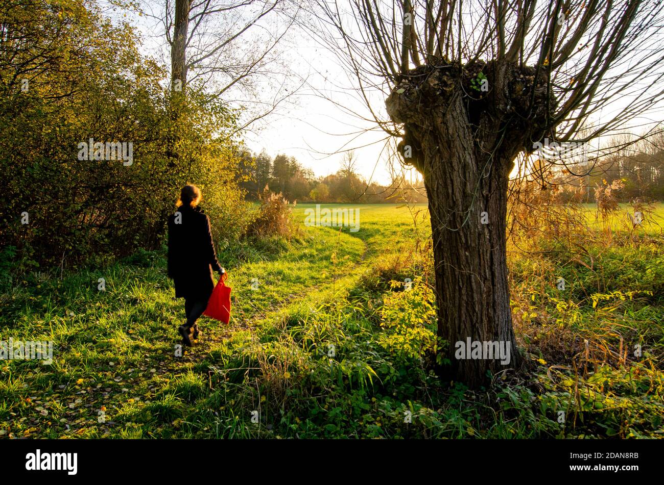 an autumn walk in the countryside in golden light Stock Photo - Alamy
