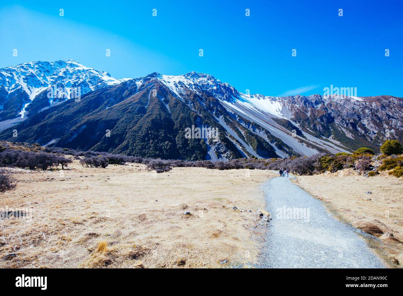Hooker Valley Track at Mt Cook in New Zealand Stock Photo - Alamy
