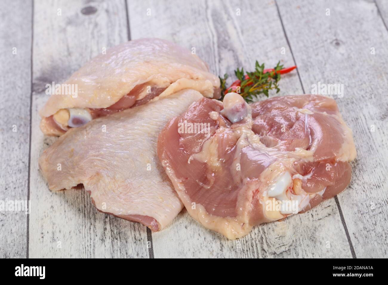 Hip bone isolate hi-res stock photography and images - Alamy