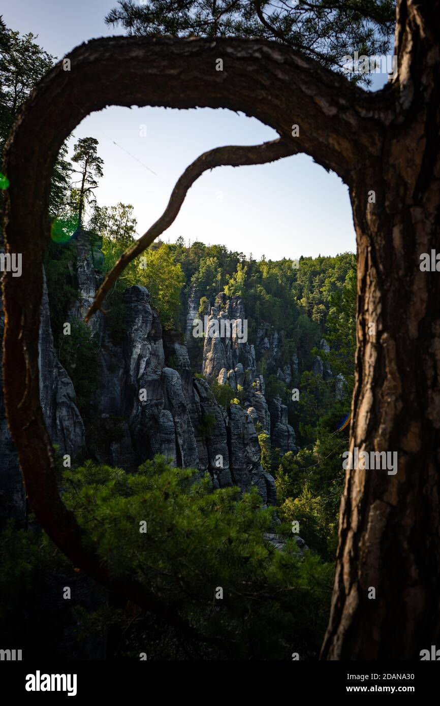 Switzerland oak tree in hi-res stock photography and images - Alamy