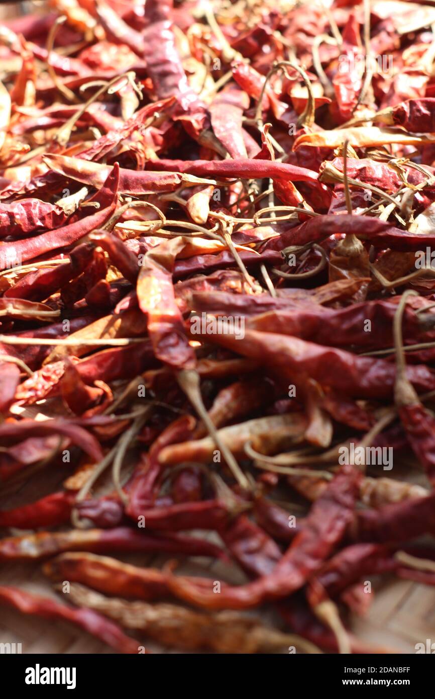 The beautiful dried red chili Stock Photo - Alamy