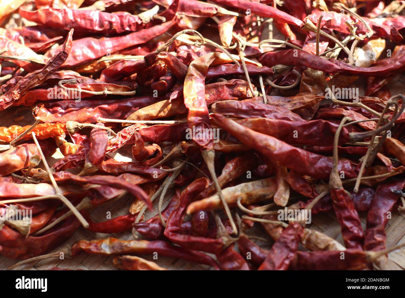 Dried mexican chillies hi-res stock photography and images - Alamy