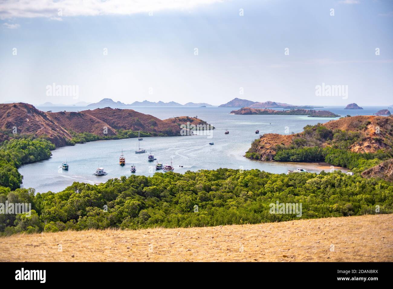 Komodo island and trees hi-res stock photography and images - Alamy