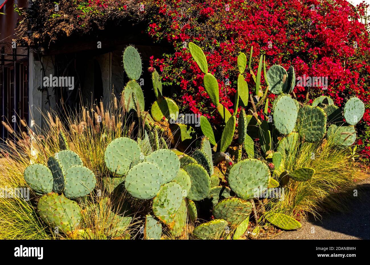 Power plants california hi-res stock photography and images - Alamy