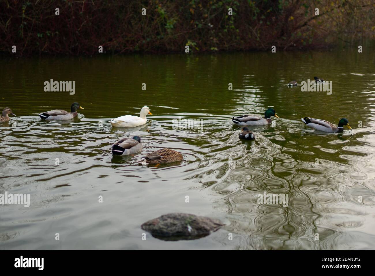 Ice House Hill Park Dundalk Stock Photo - Alamy