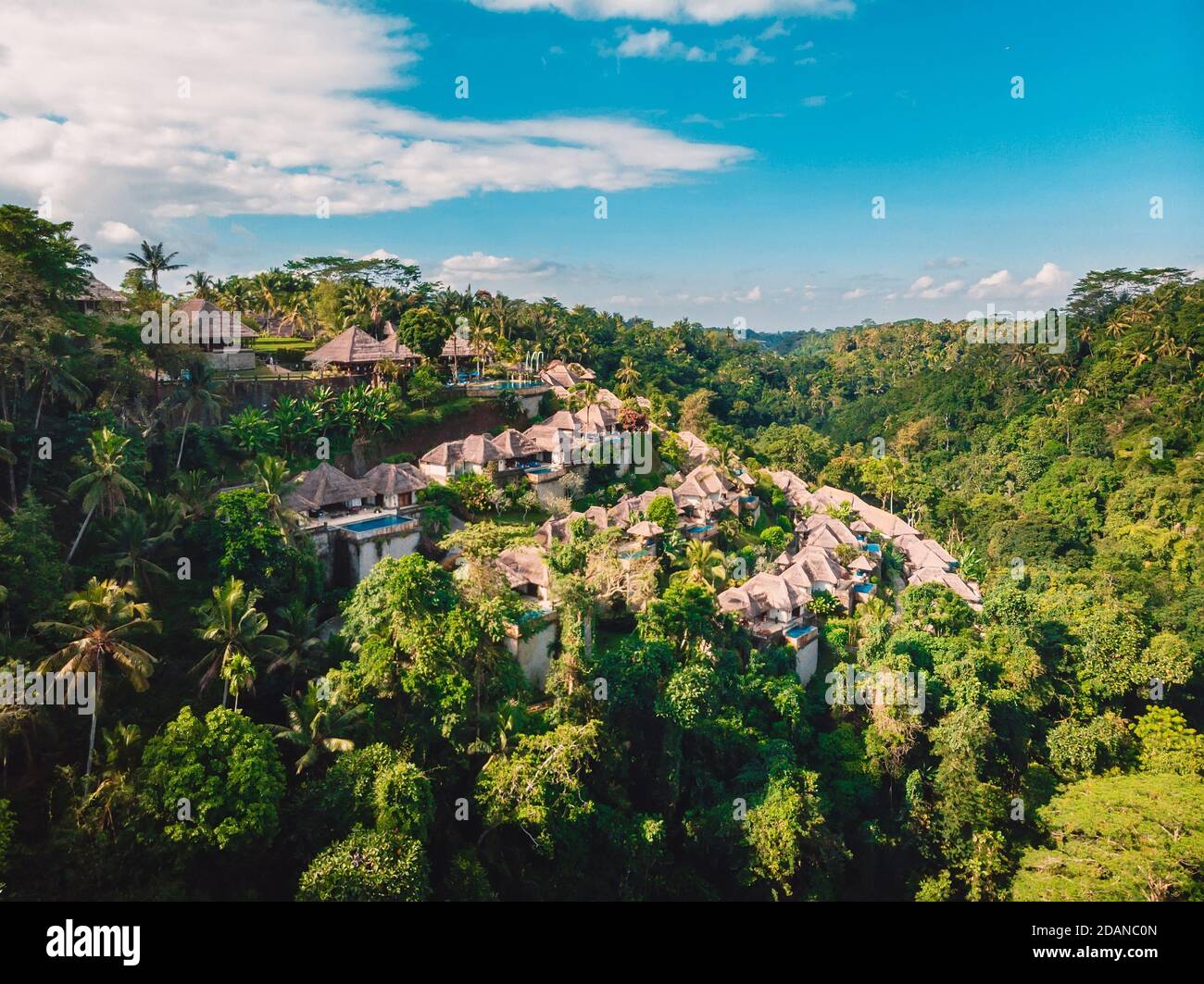 Ubud jungle aerial hi-res stock photography and images - Alamy