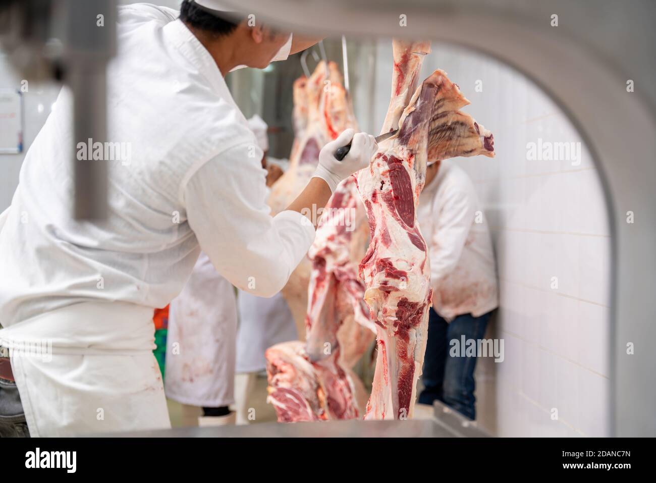 Beef cattles hi-res stock photography and images - Alamy